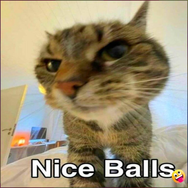 220+ Goofy Ahh Pictures, PFP, Wallpapers & Pics - Goofy Ahh