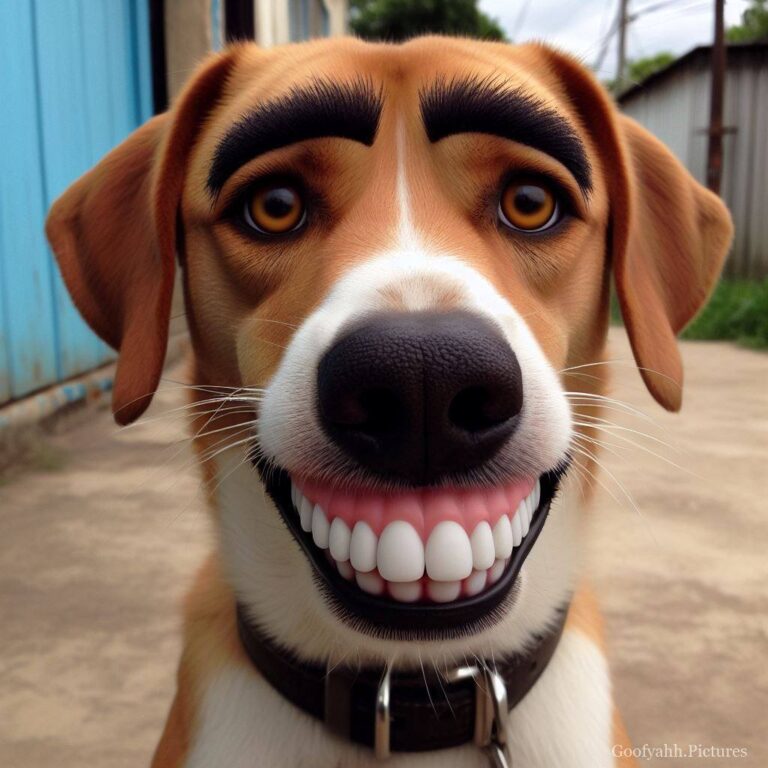 220+ Goofy Ahh Pictures, PFP, Wallpapers & Pics - Goofy Ahh